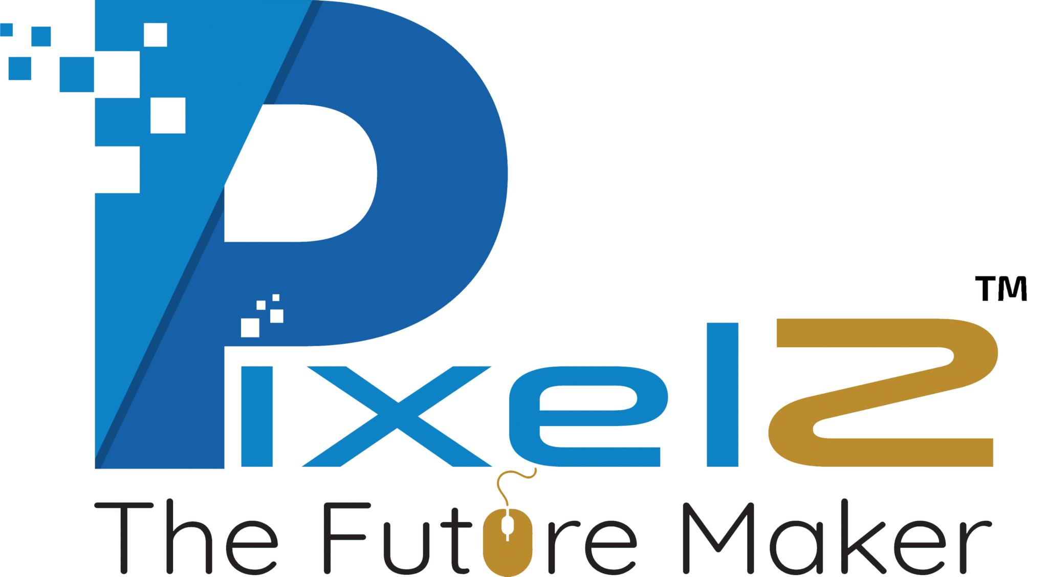 Best IT & Digital Marketing Course in Kolkata - PixelZ Education